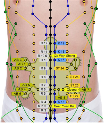 Abdominal & Navel Acupuncture CPD - BODYHARMONICS